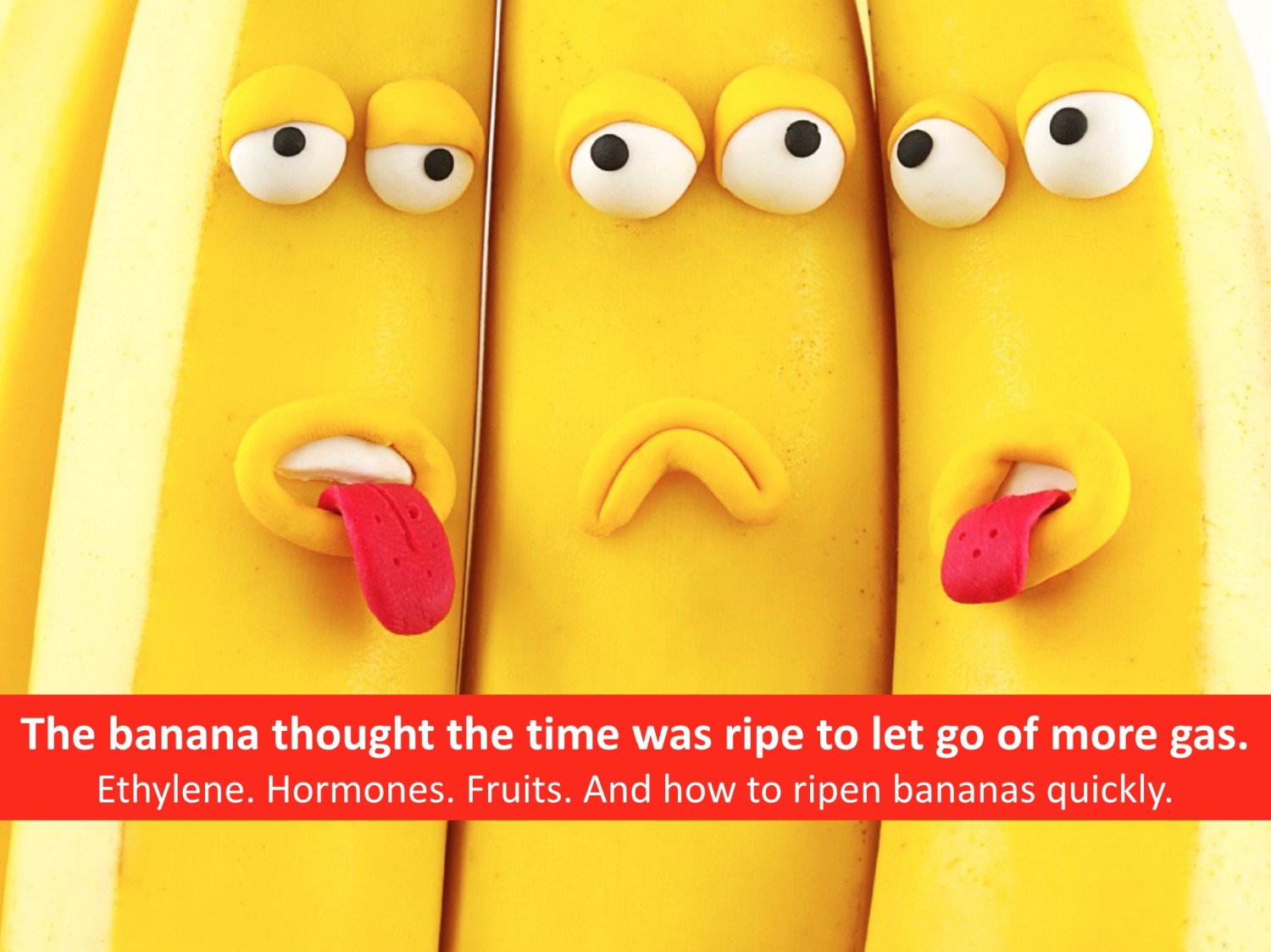 The ripening of bananas is triggered by ethylene gas