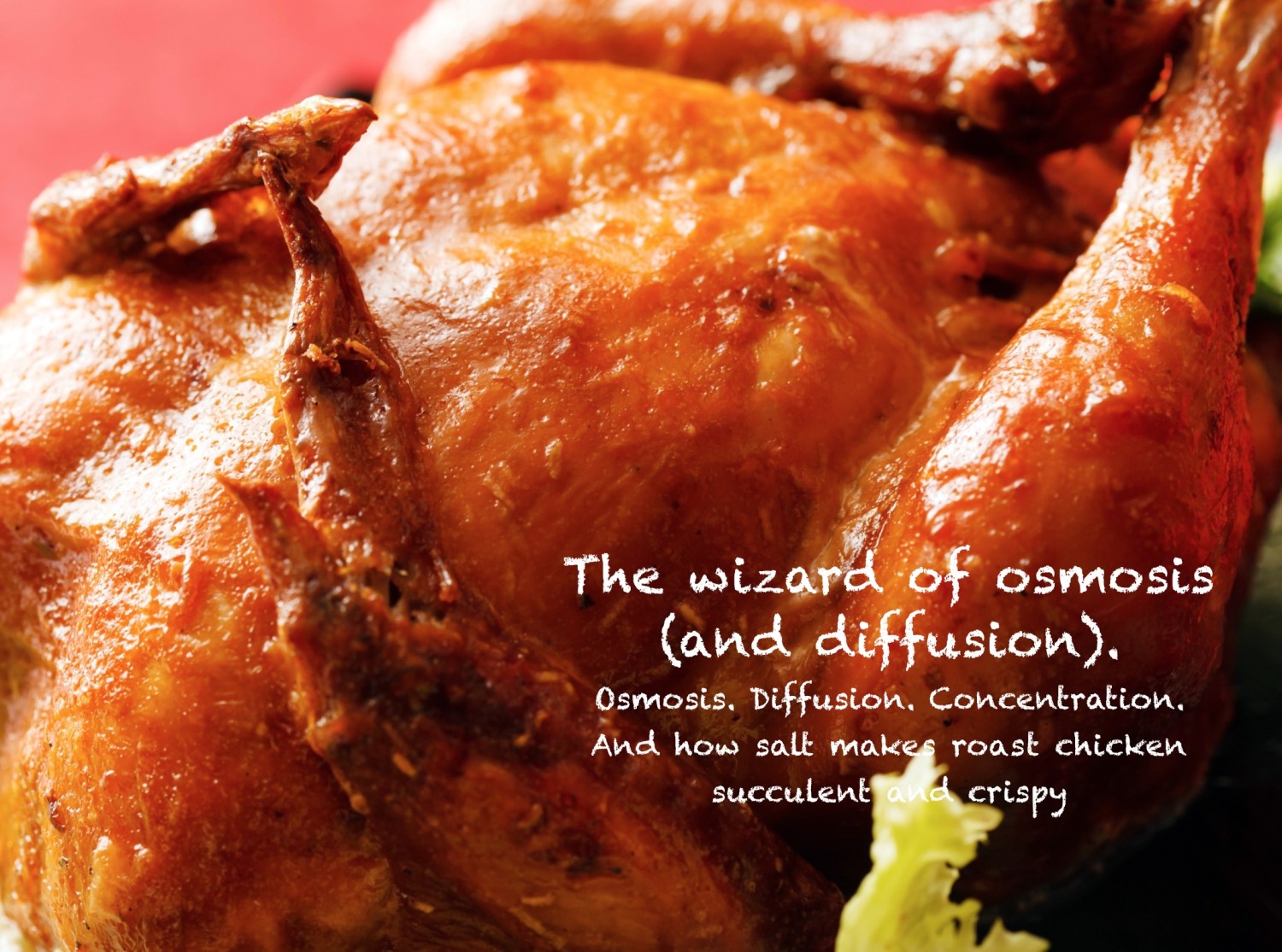 How salt, water, osmosis and diffusion give crispy roast chicken