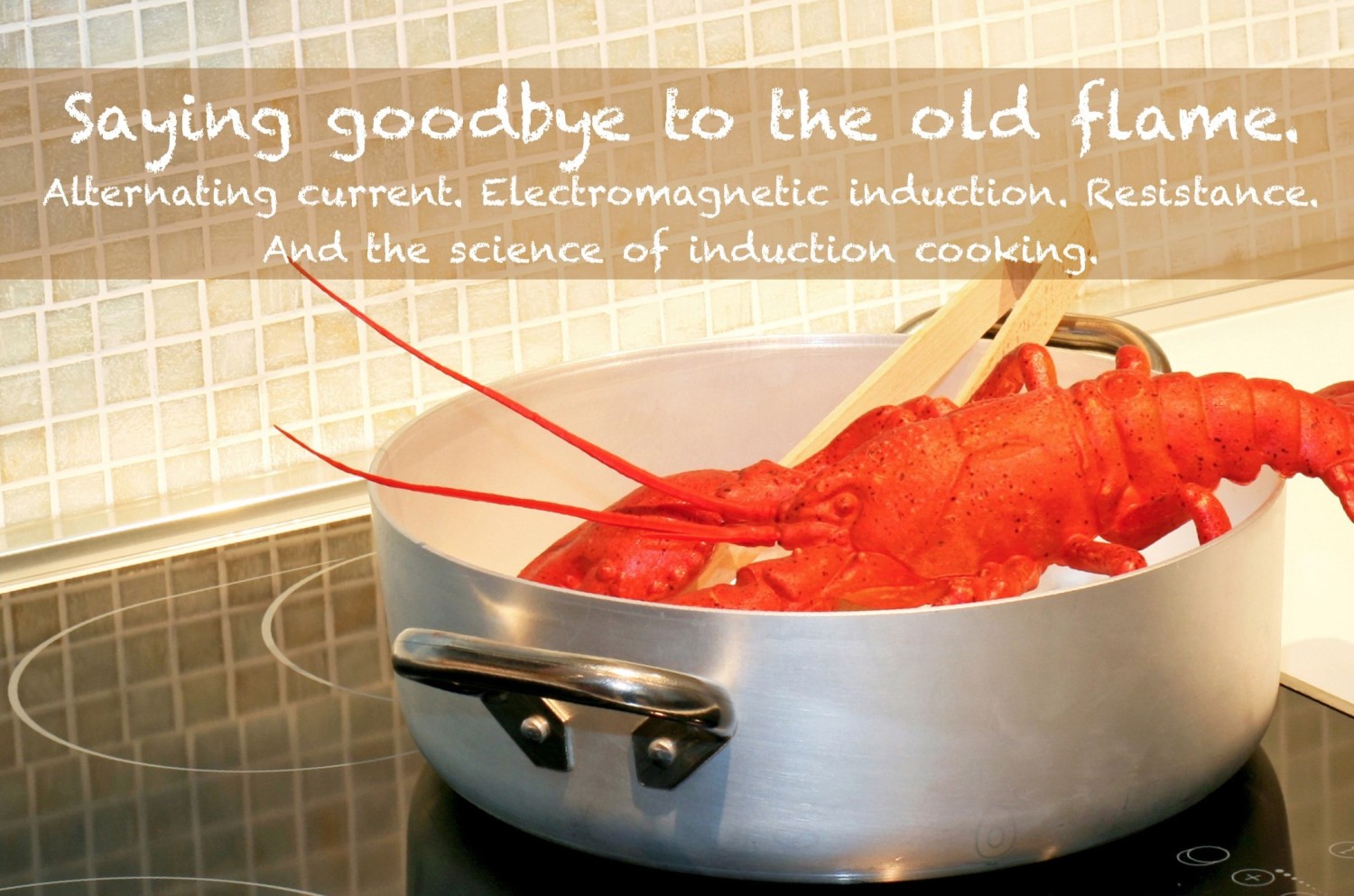 The science of induction cooking, explained simply