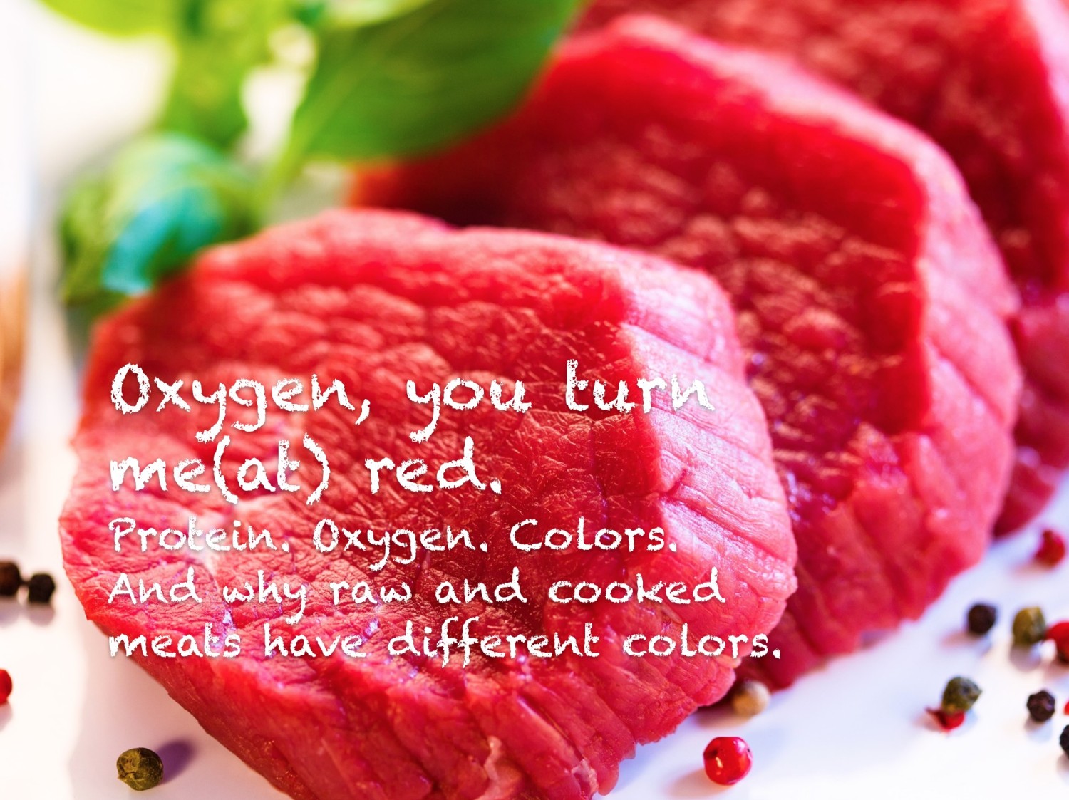 Myoglobin - why raw and cooked meats have different colors.