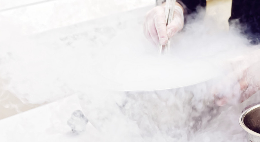 Freeze! - NomNomenon