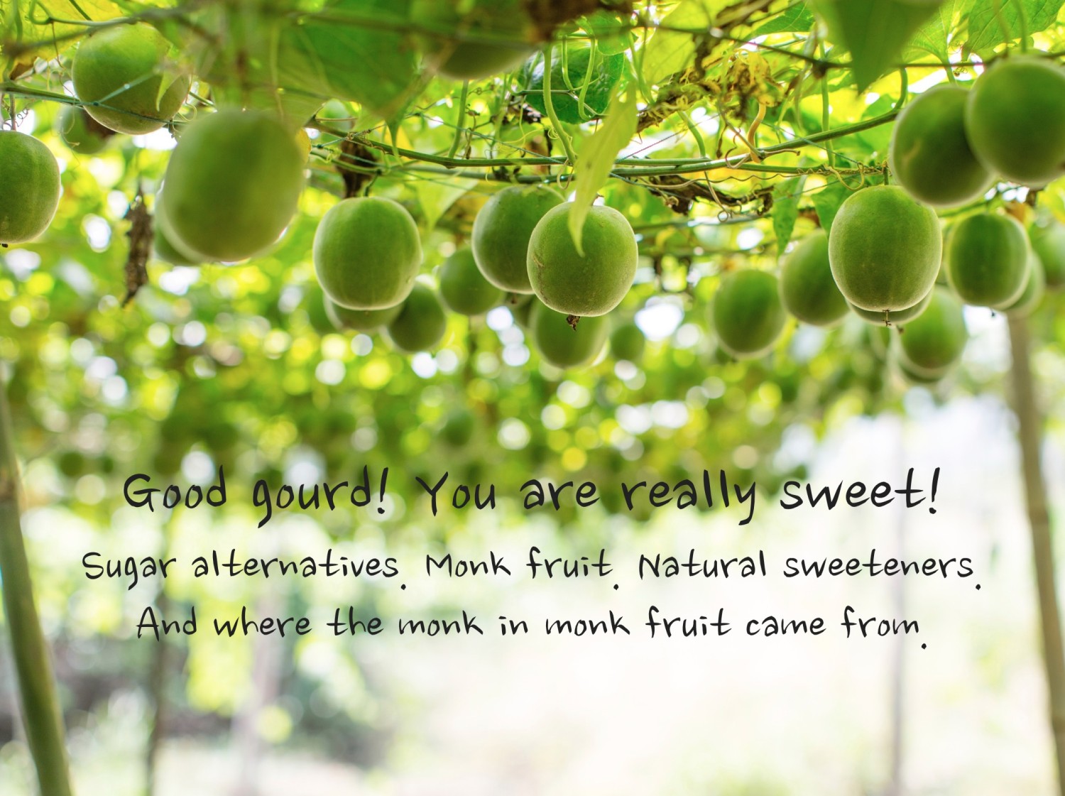 Good gourd! You are really sweet! - NomNomenon
