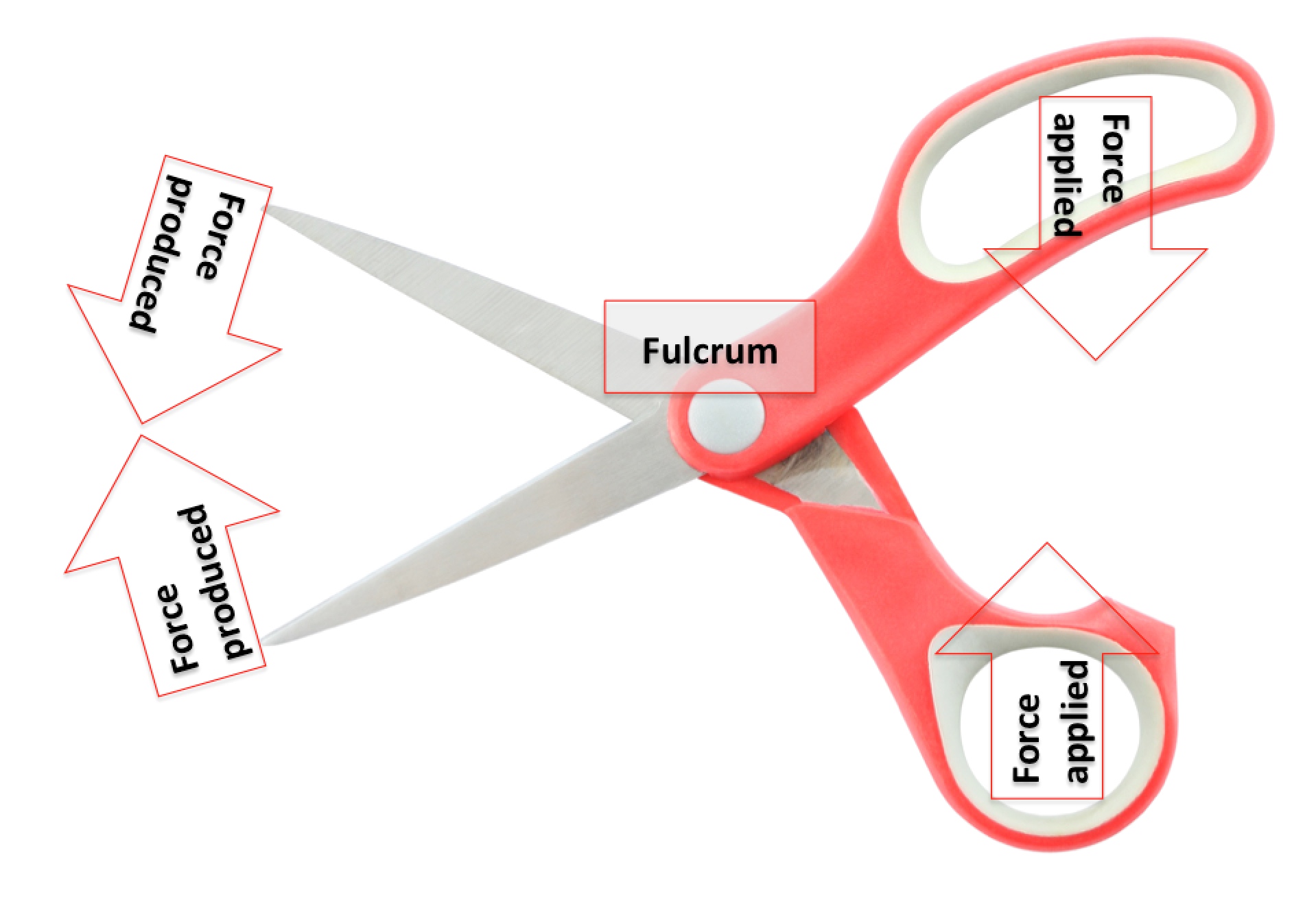 A cut above the rest. - NomNomenon